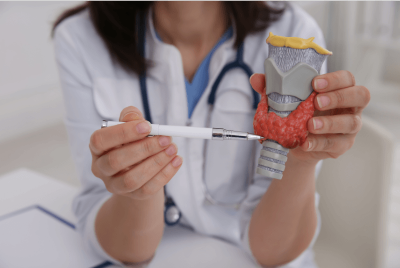 Thyroid Problems In Women Ulta Lab Tests