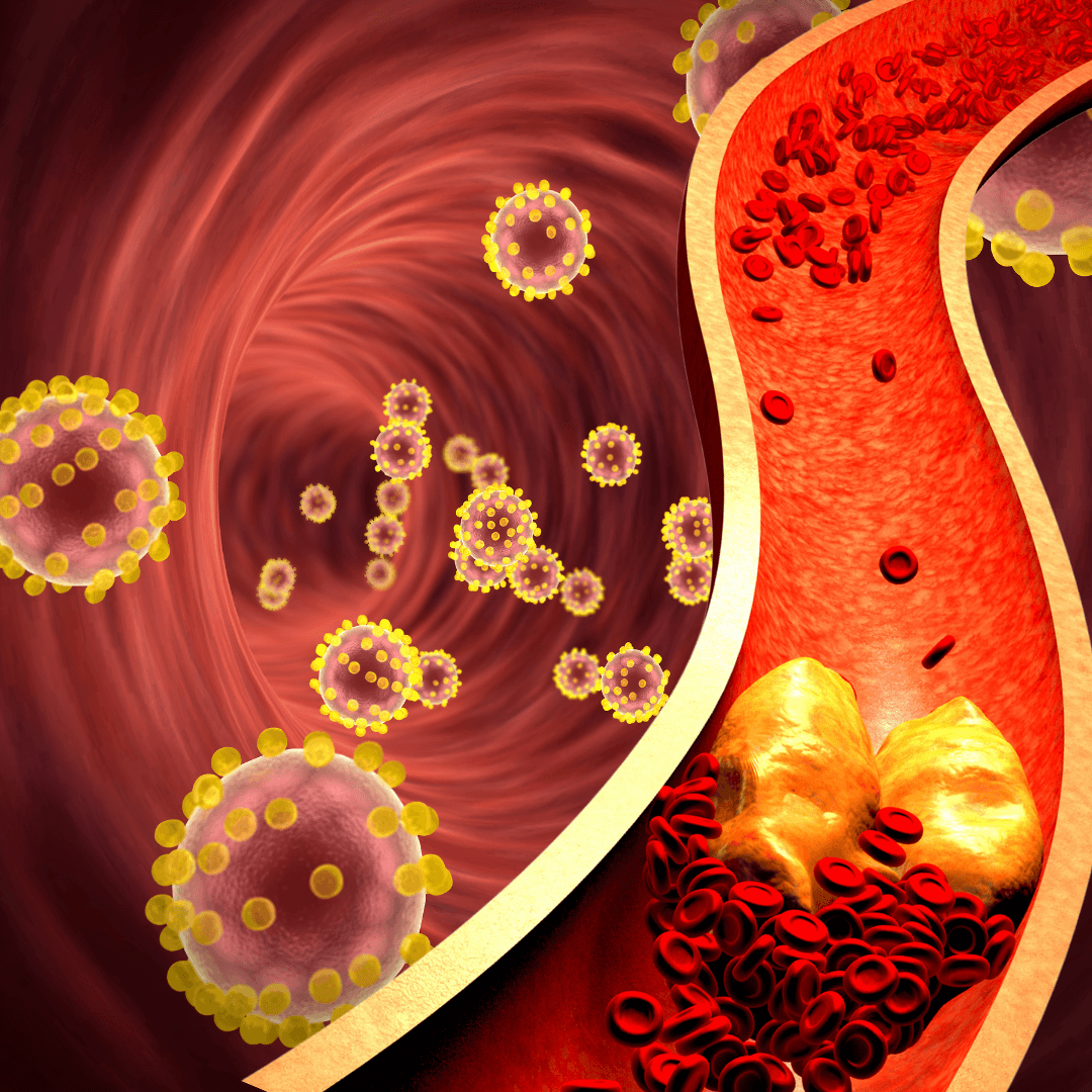 What are Lipids? How These Molecules Impact Our Health. | Ulta Lab Tests