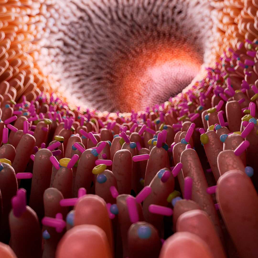 Blood Tests for Gastrointestinal Disorders: Detecting & Monitoring ...