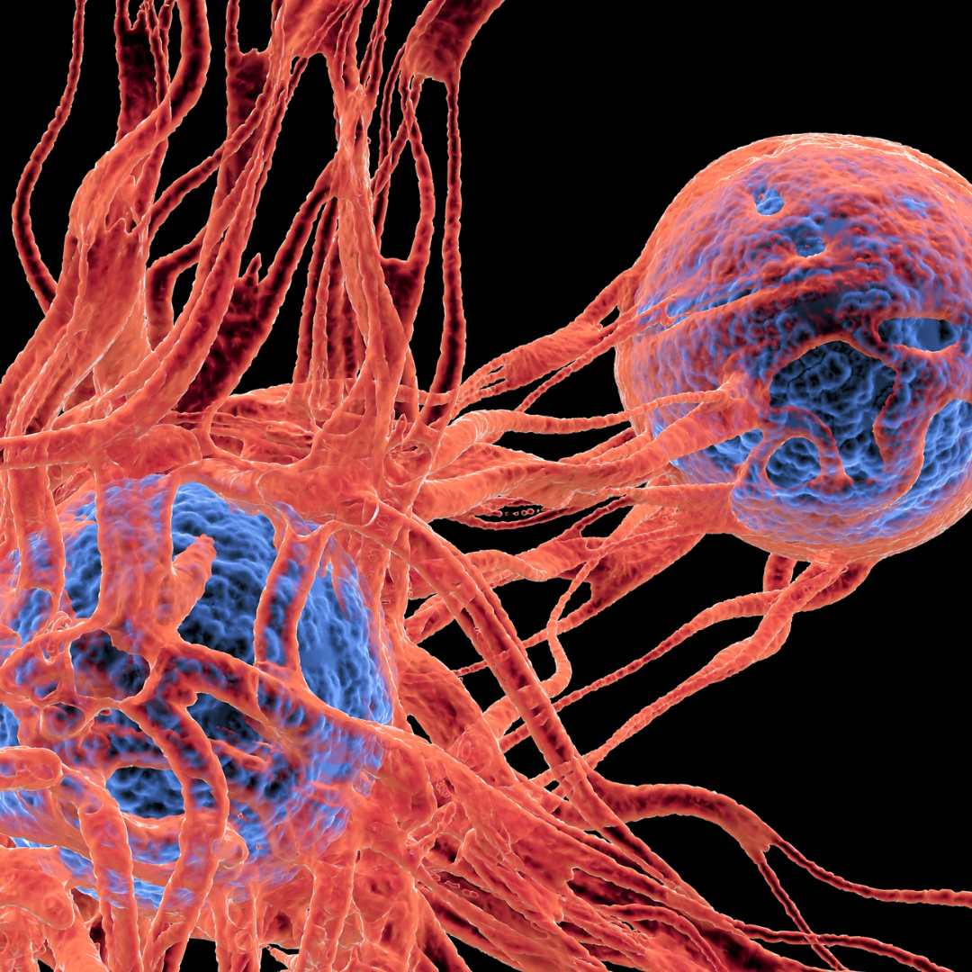 Blood Testing for Hormone-Sensitive Cancers: A Key to Early Detection ...